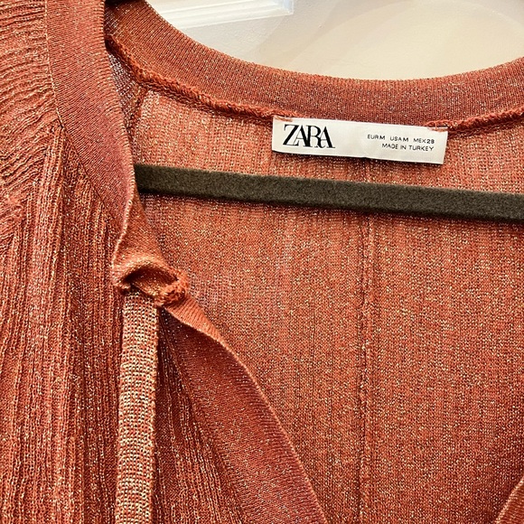 Zara | Tops | Zara Metallic Threaded Top | Poshmark
